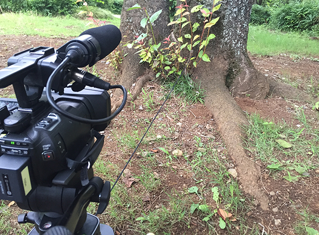 [岡英史のNewFinder]Vol.49 リニューアルLIBEC ALLEXシリーズ登場！ - PRONEWS : 動画制作のあらゆる情報が集まるトータルガイド